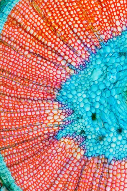 REYL Innovative Banking