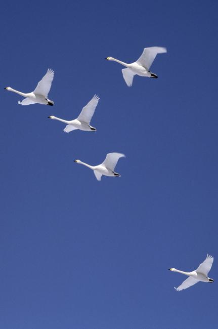 REYL Innovative Banking