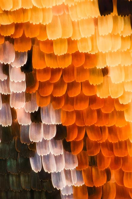 REYL Innovative Banking