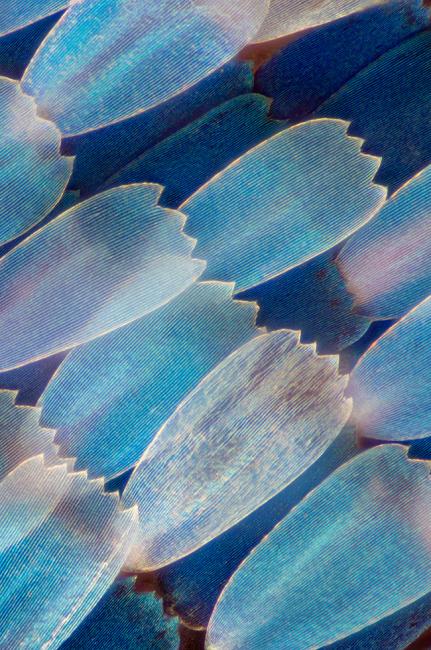 REYL Innovative Banking